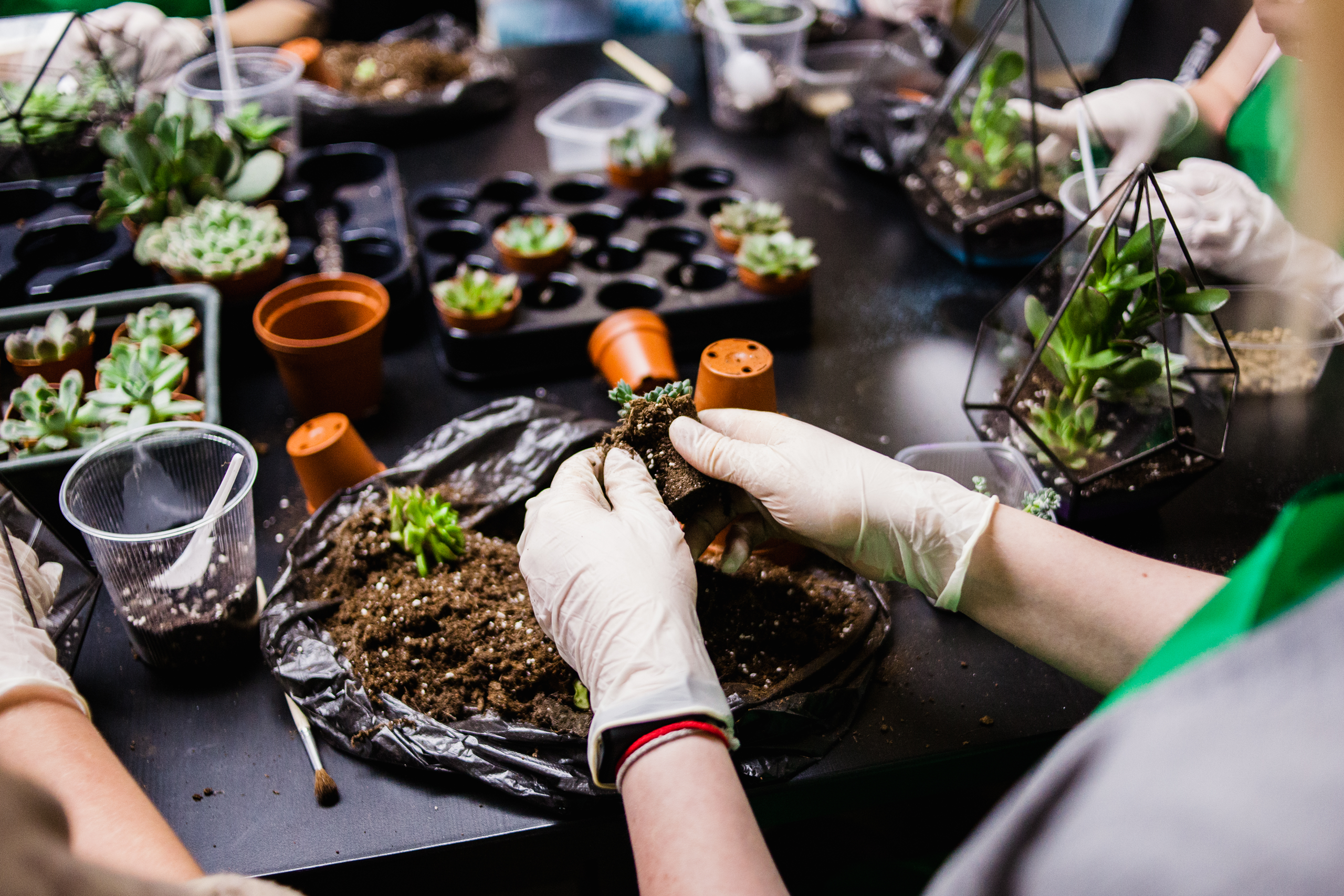 Classes – Leon’s Garden World LLC